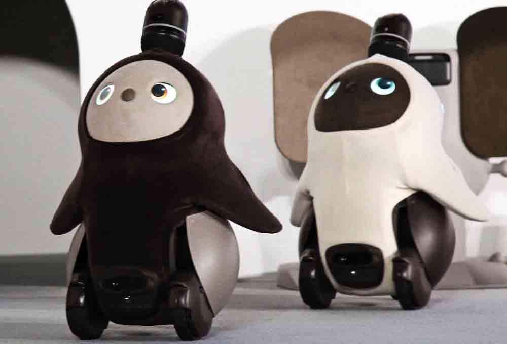 Lovot : Un robot à fourrure pour éliminer la solitude